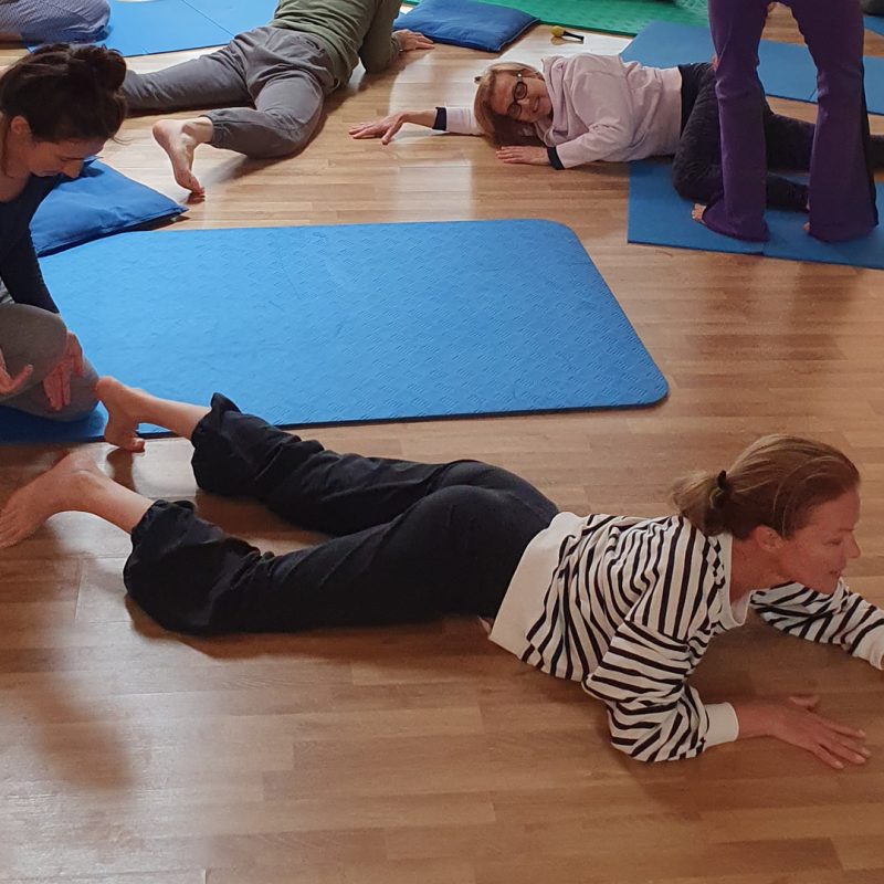 Skeletal System 2024 – Embody Move