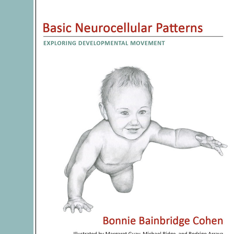 Skeletal System 2024 – Embody Move